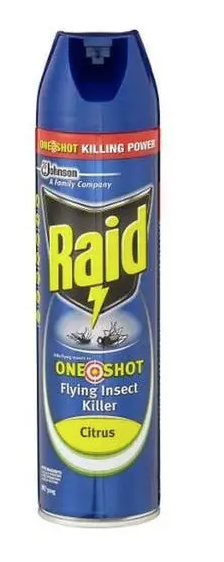 Raid One Shot 320g Flying Insect Killer Fly Spray - Citrus – Boutique ...